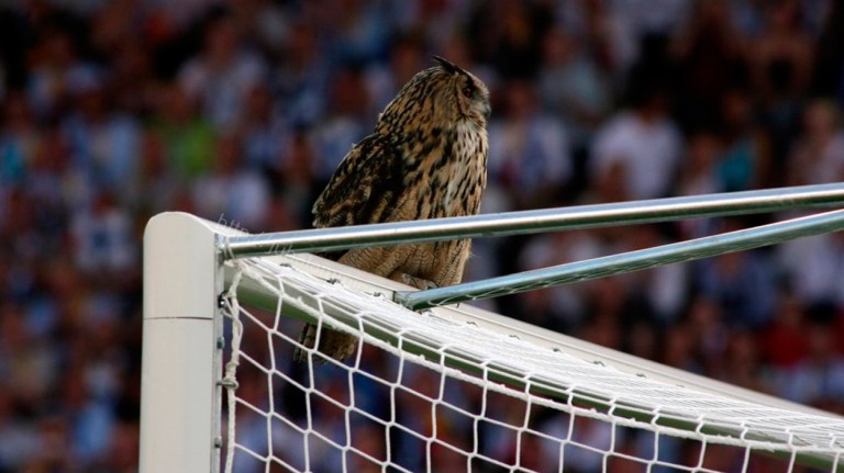 Los motes y apodos de las selecciones de fútbol del mundo – palabras de ...